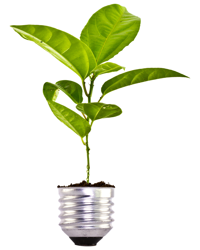 Cajas de cartón reciclado sostenibles | BranPack